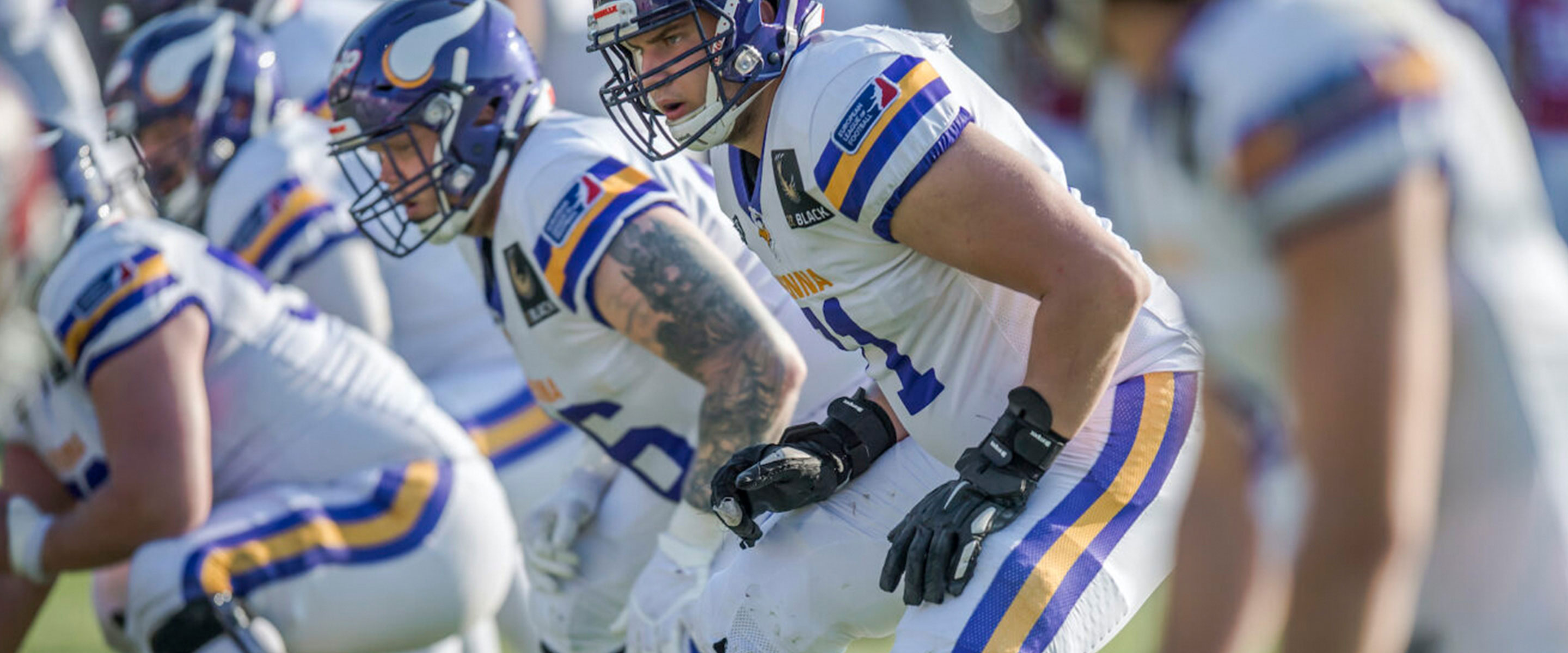 News - ELF VIENNA VIKINGS